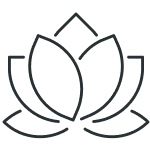 Luxury Plant Medicine and Ayahuasca Retreat Center | Rythmia