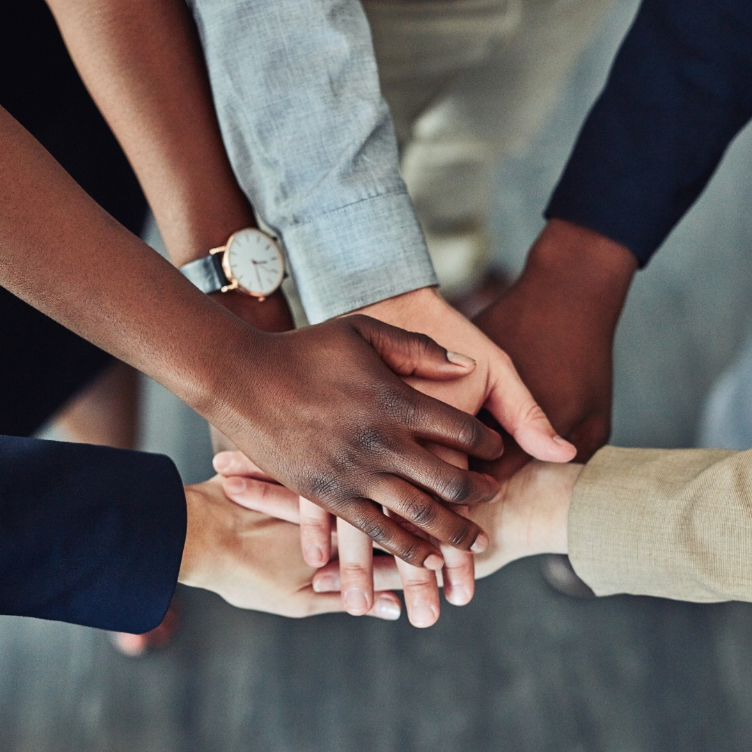 Here’s what it takes to create thriving teams | Bright Morning