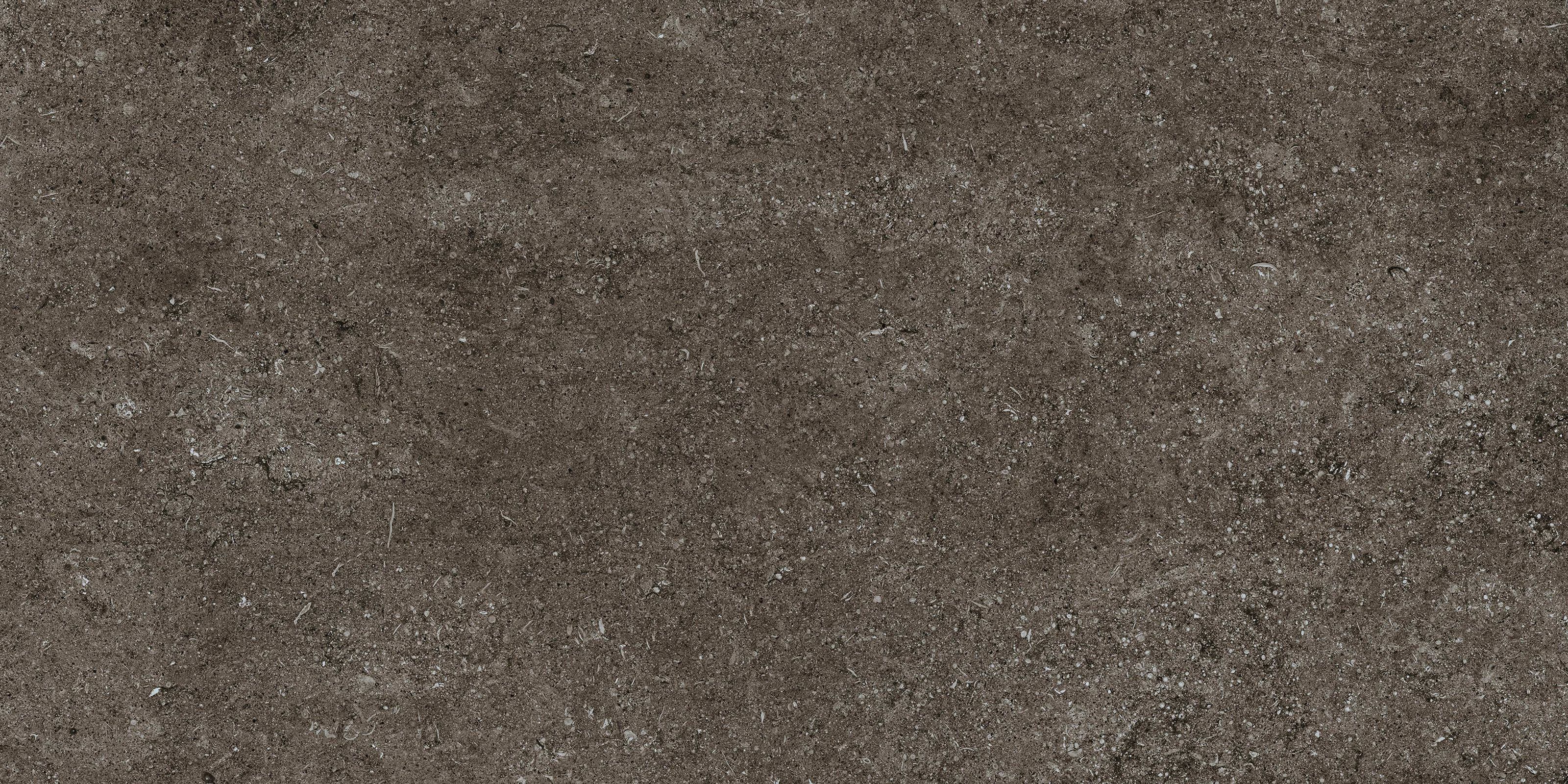 Grey Fossil | ELM Surfaces | Porcelain, Ceramic, Wood, and a World More