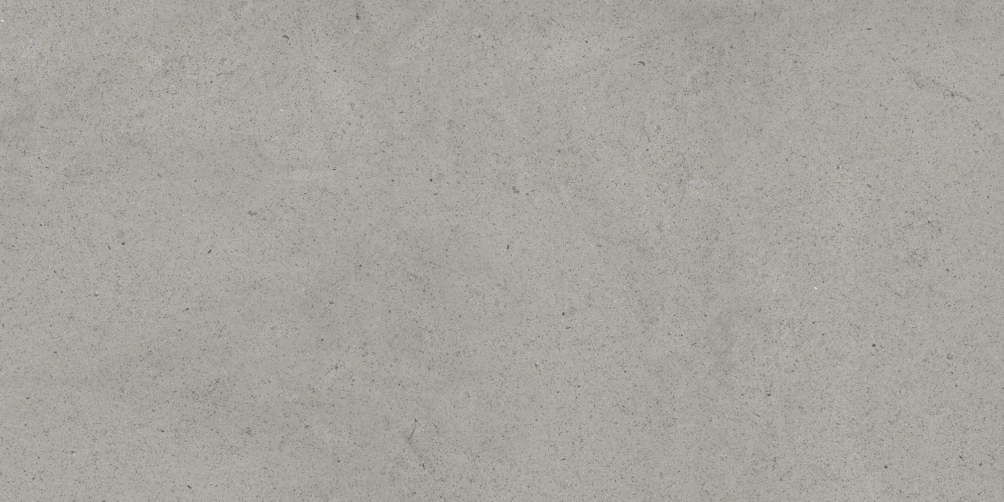 Grey Fossil | ELM Surfaces | Porcelain, Ceramic, Wood, and a World More