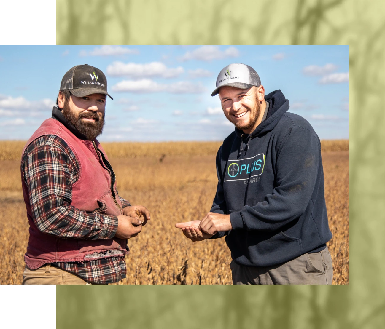 Sustainable Farming - Regenerative Agriculture | Weiland Farms