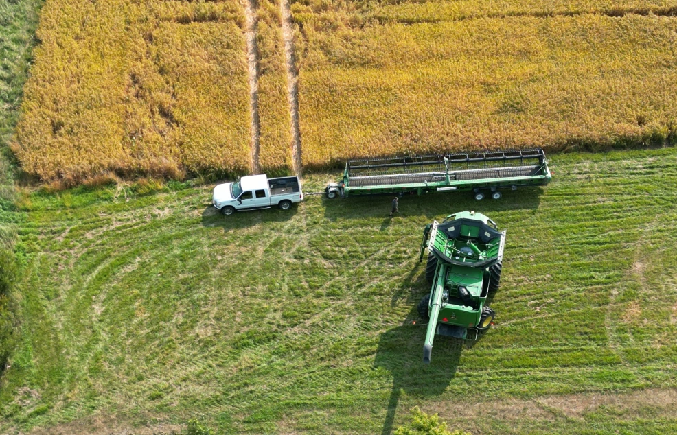 Identity Preserved Crop Production | Weiland Farms