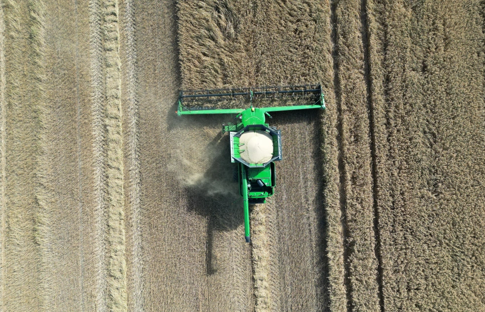 Identity Preserved Crop Production | Weiland Farms