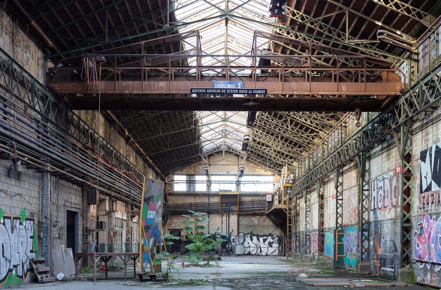 Une ancienne friche mythique de 6000m2 rouvre ses portes après 7 ans ...