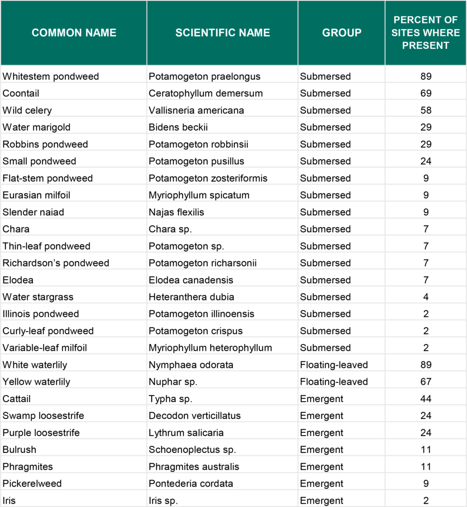 Insight - Aquatic Plant Surveys: How and Why?