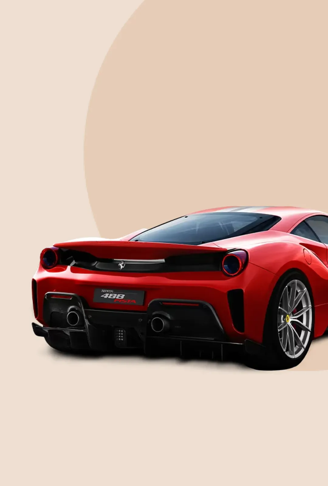 BPM - Acteur international de la distribution spécialisée