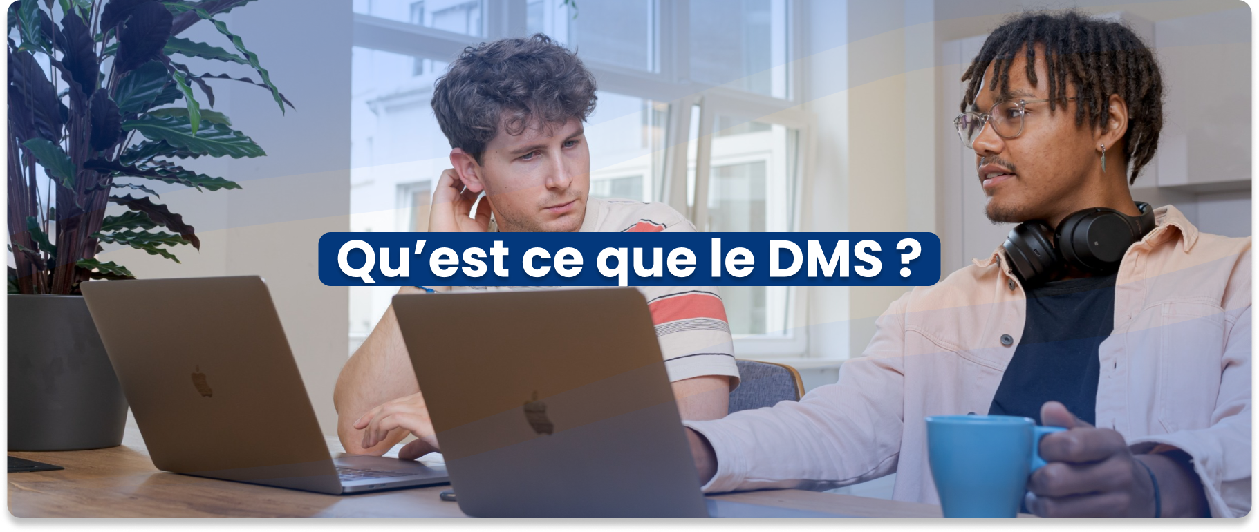 Qu’est-ce le DMS