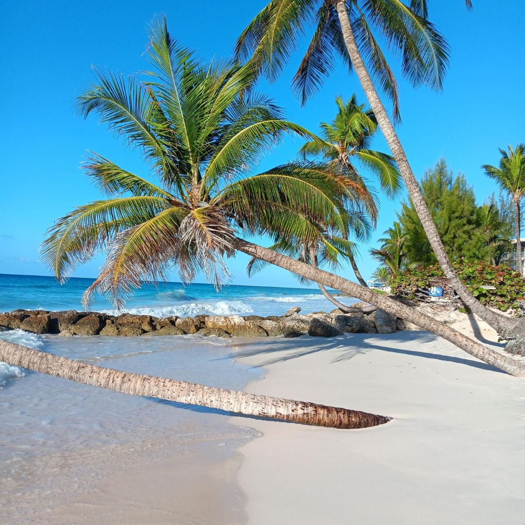 Travelling Solo to Barbados, Arriving at the Barbados Beach Club