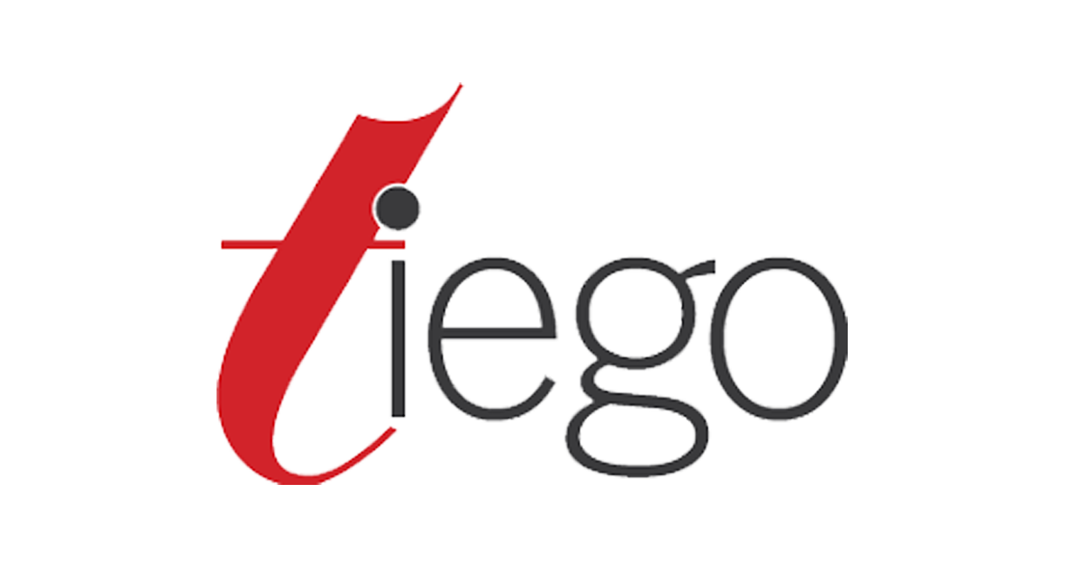 BI Book | Tiego Group Accounting