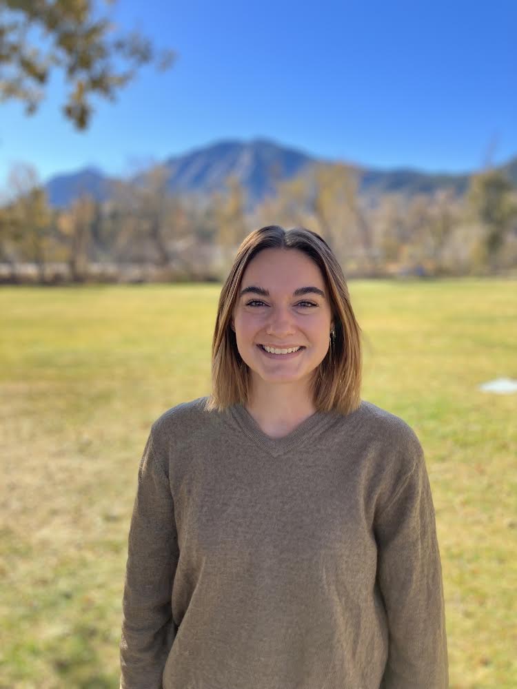 Rise Against Suicide - About