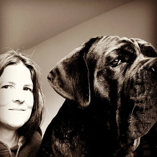 About Bend Animal Emergency | Bend Animal Emergency