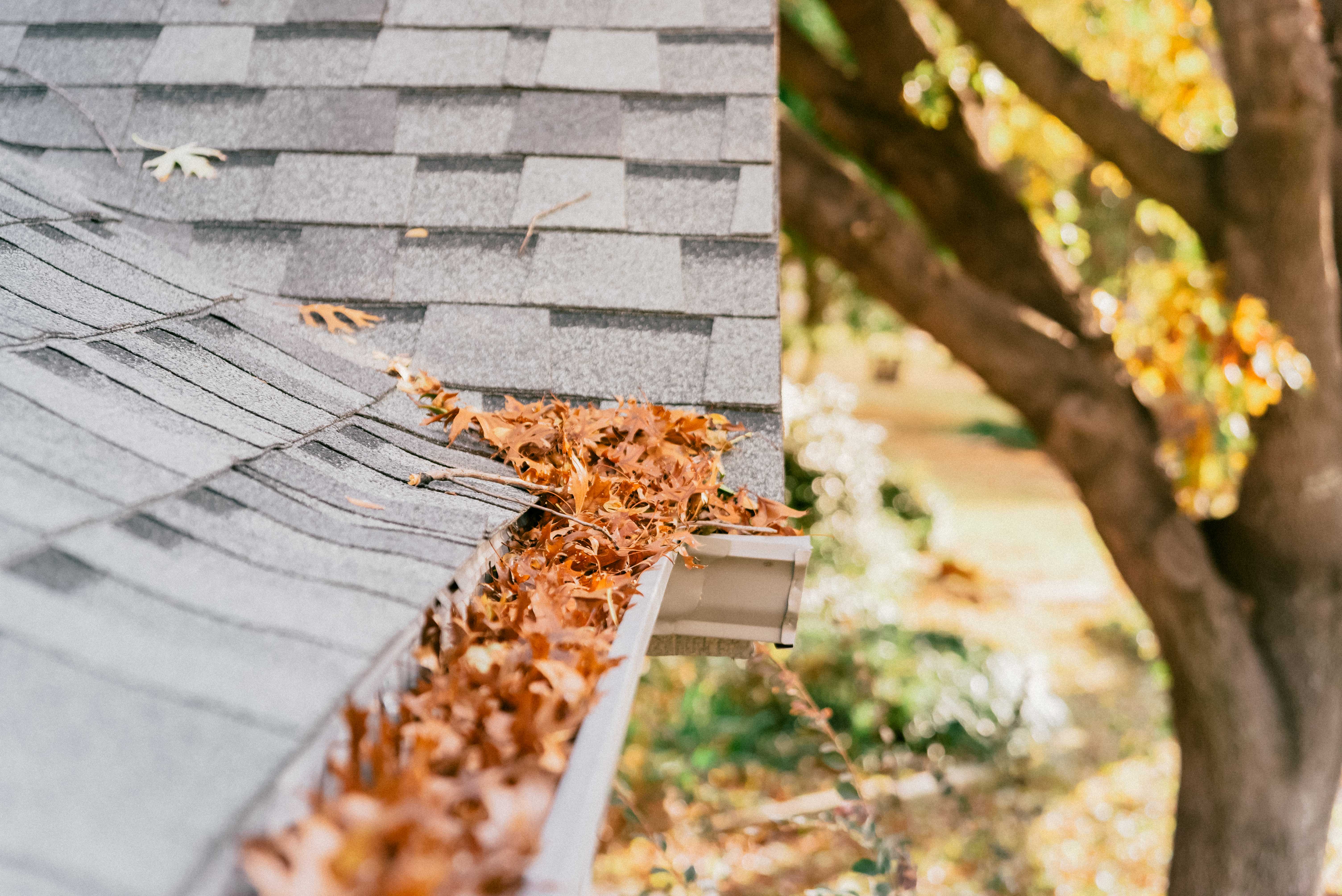 Gutter Brush Installation