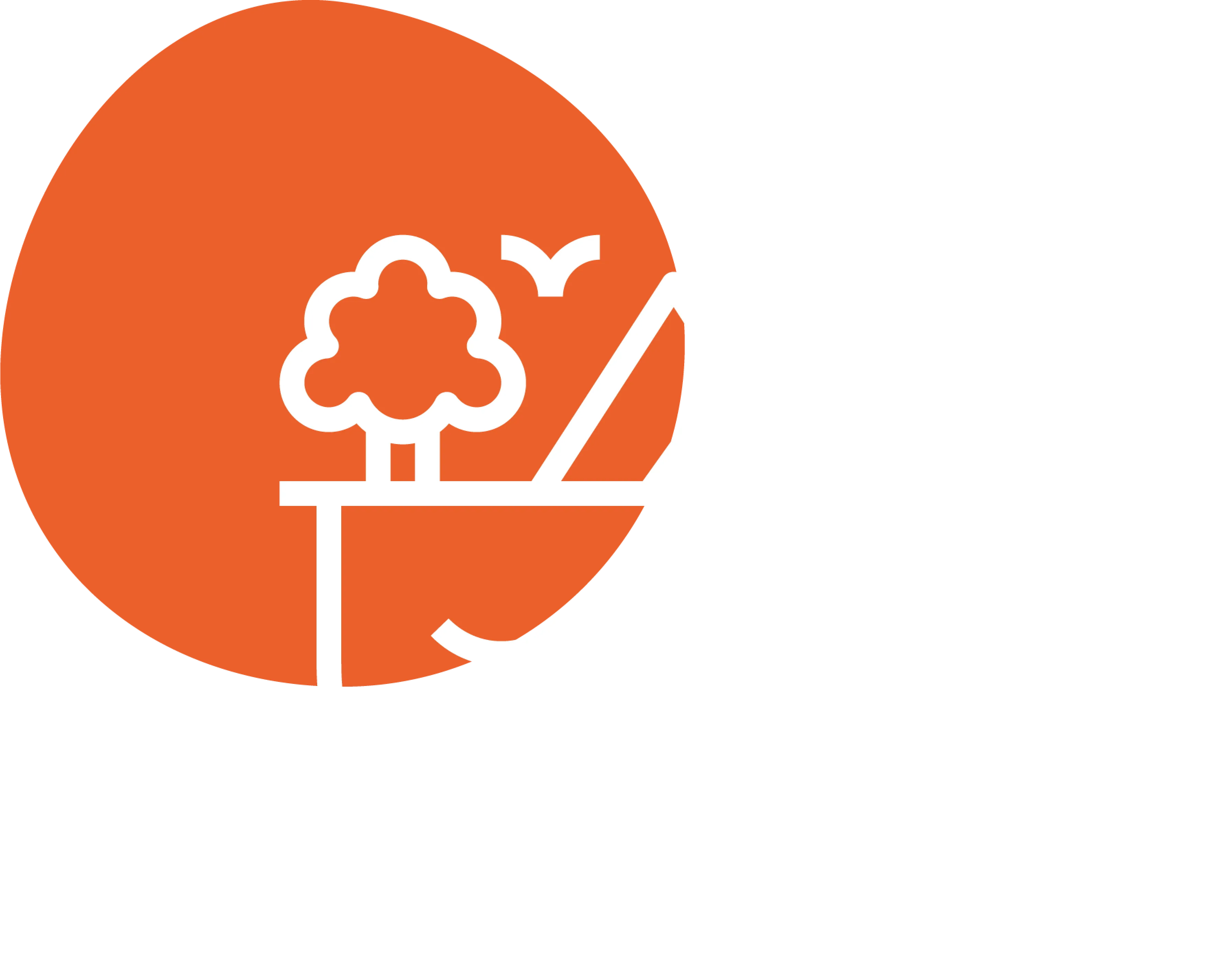 Rutopia: tailor-made, authentic trips to Mexico