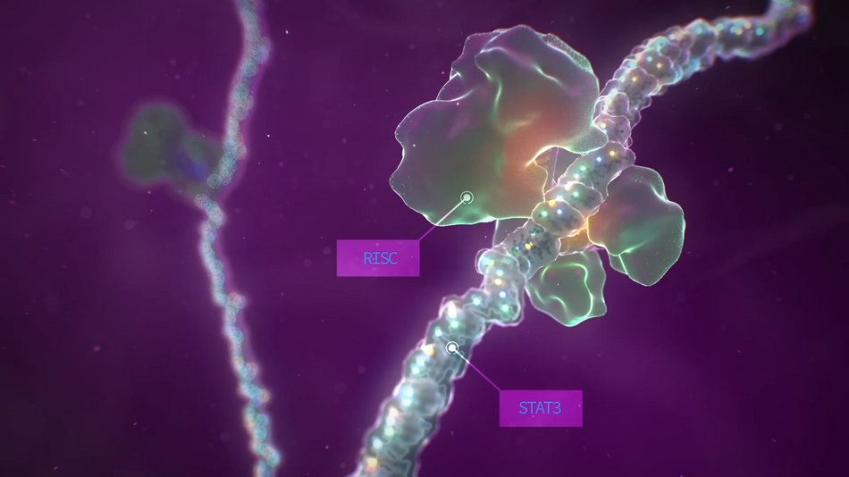 How Motion Design Empowers the Future of Medicine