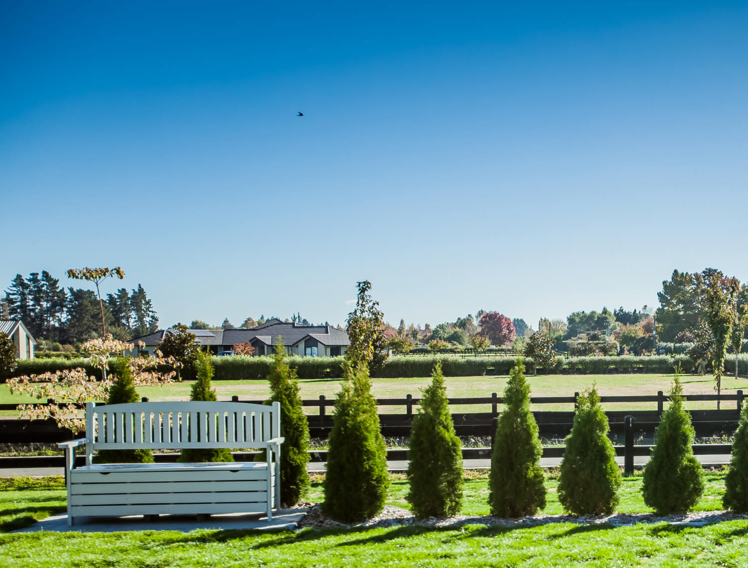 Groundcover Landscaping Services | Hamilton NZ