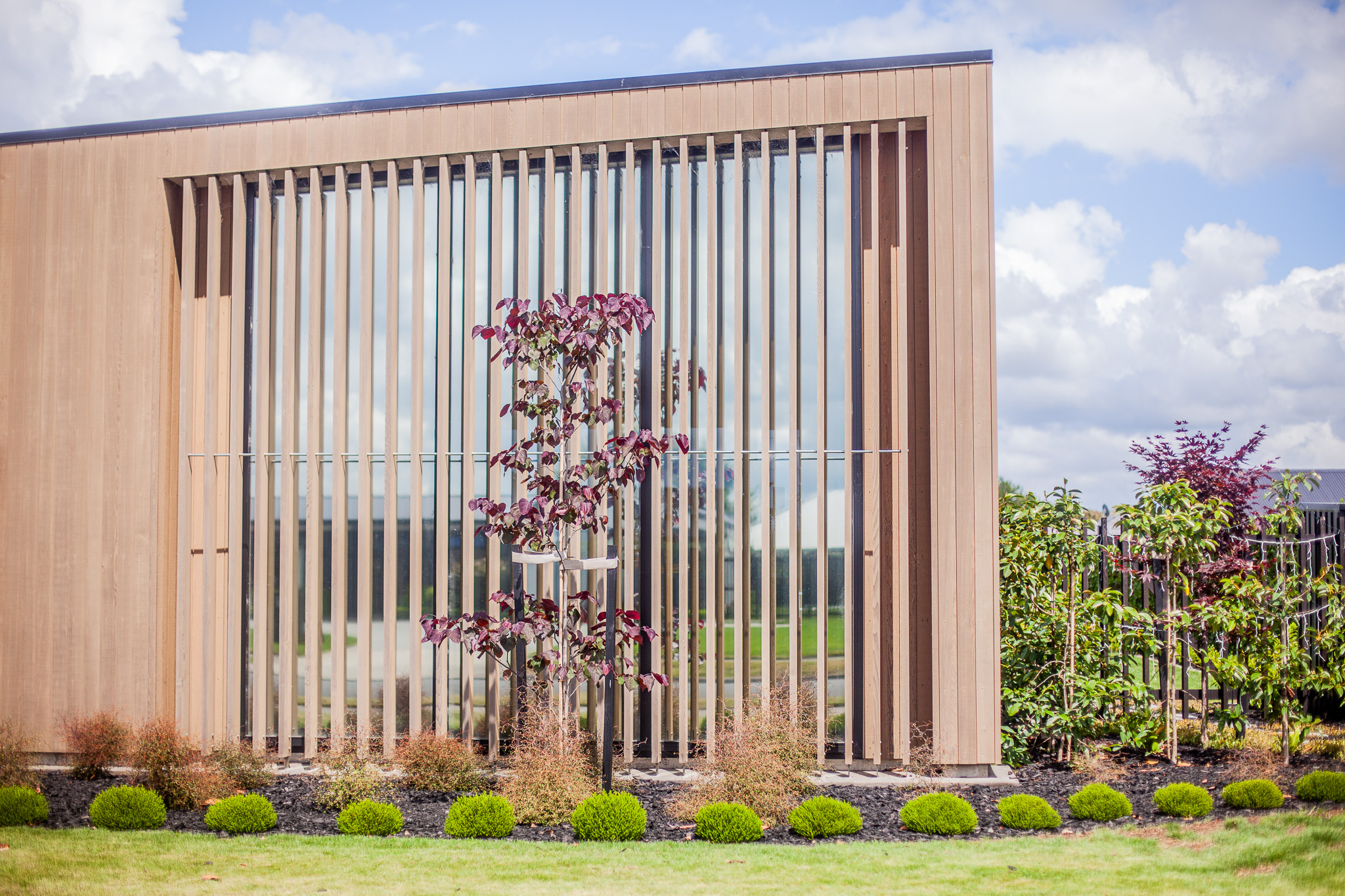 Groundcover Landscaping: Waikato Landscaping Company