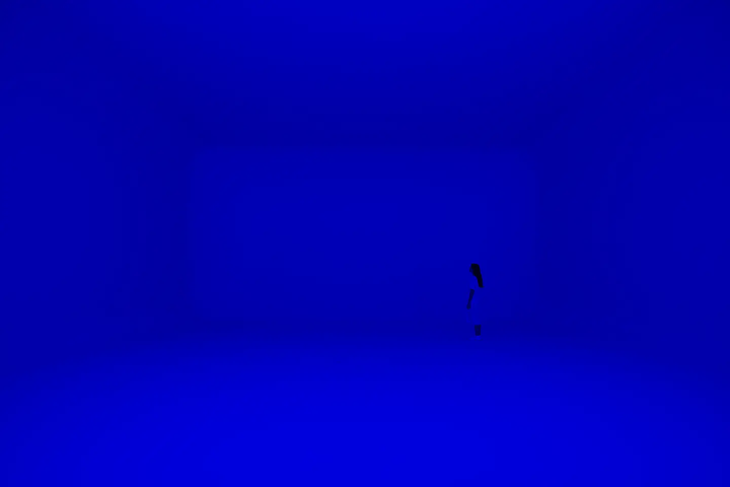 Superblue Miami | Experience Guide