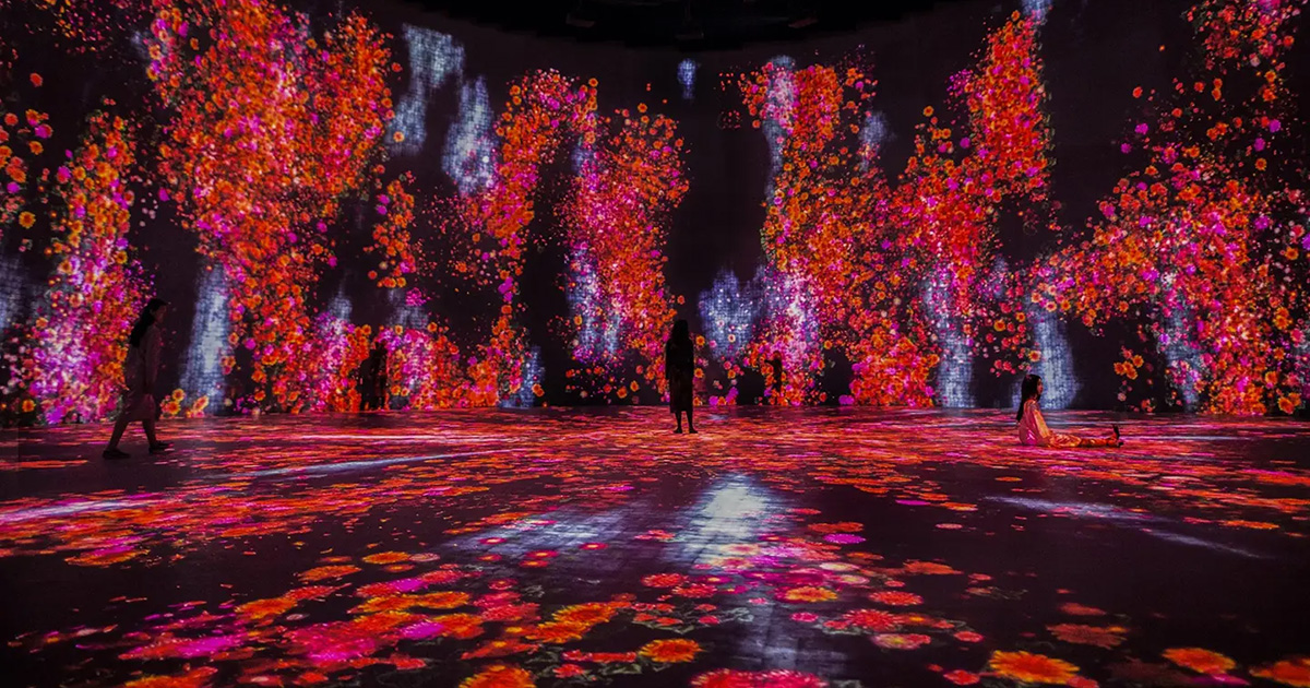 Superblue Miami | Experience Guide | teamLab's Between Life and Non-Life