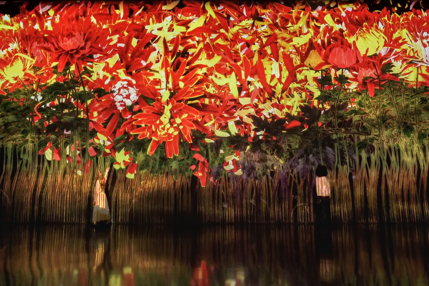 Superblue Miami | Experience Guide | teamLab's Between Life and Non-Life