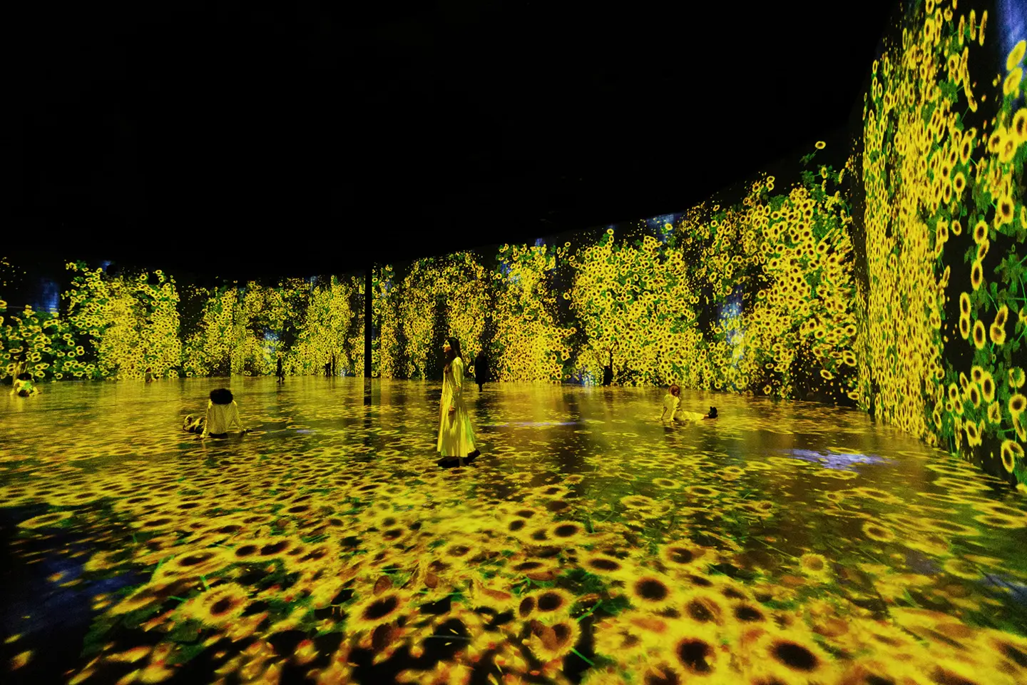 Superblue Miami | Experience Guide | teamLab's Between Life and Non-Life