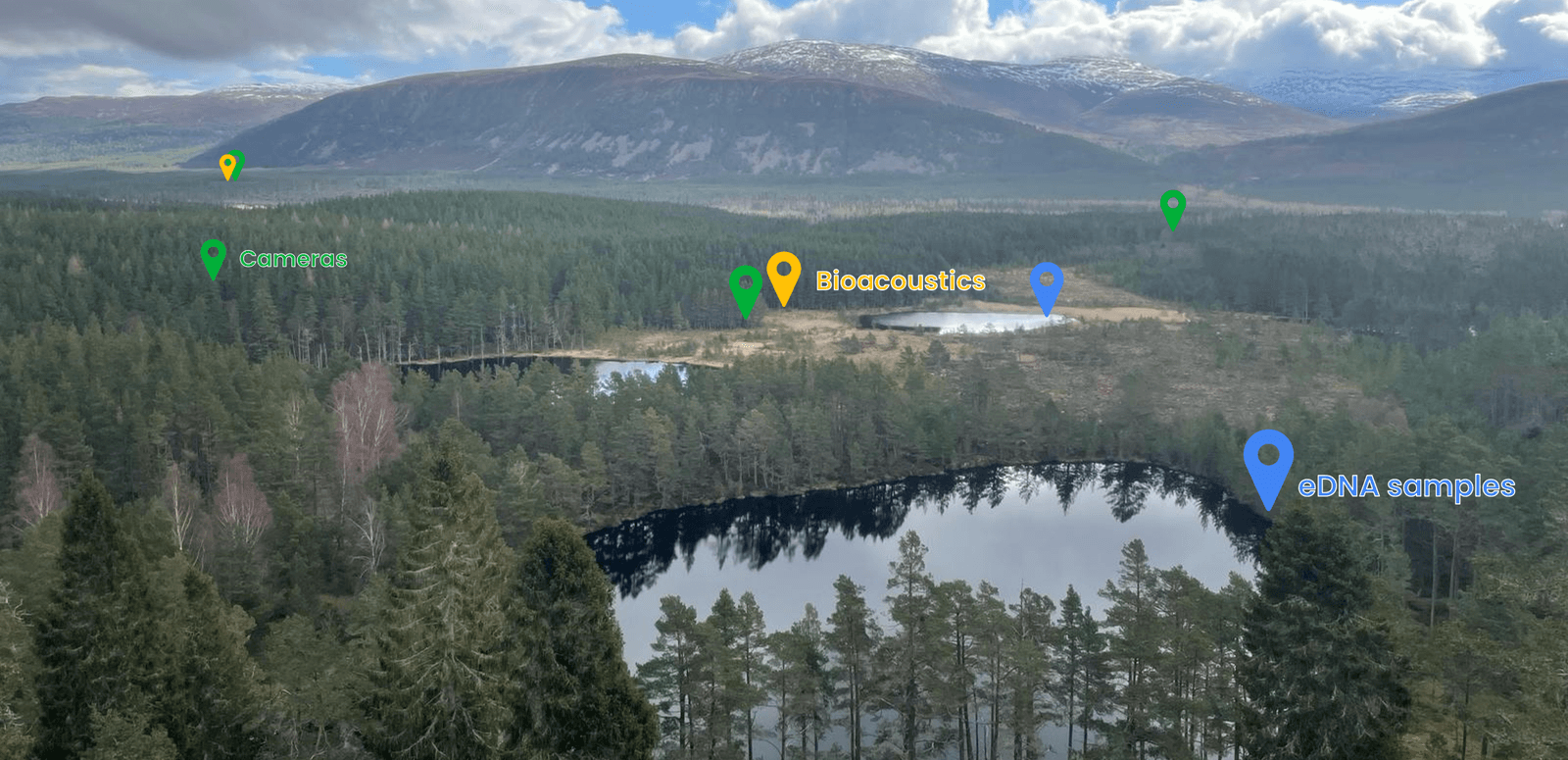 Okala - Biodiversity Insights