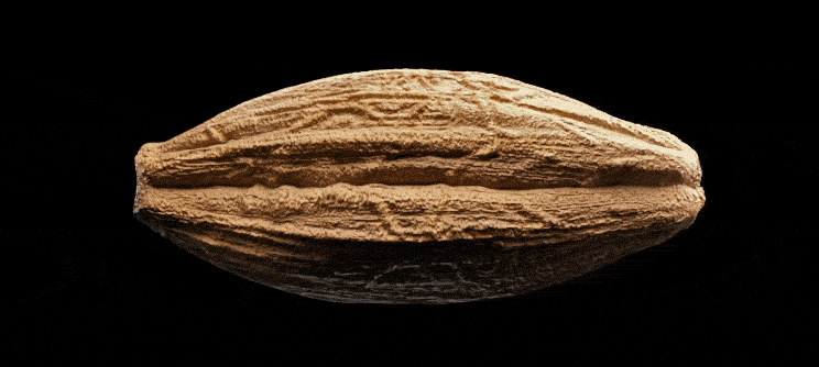 Lex by Nemiroff - Ultra premium Vodka