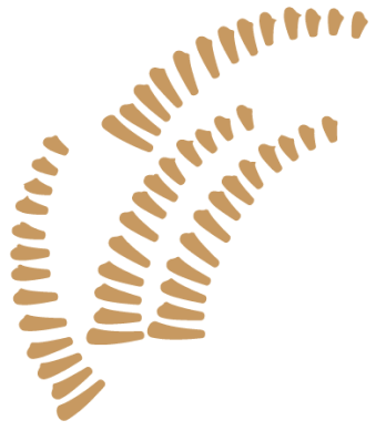 Top Central Texas Realtor | Chloe Chiang