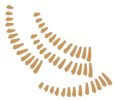 Top Central Texas Realtor | Chloe Chiang