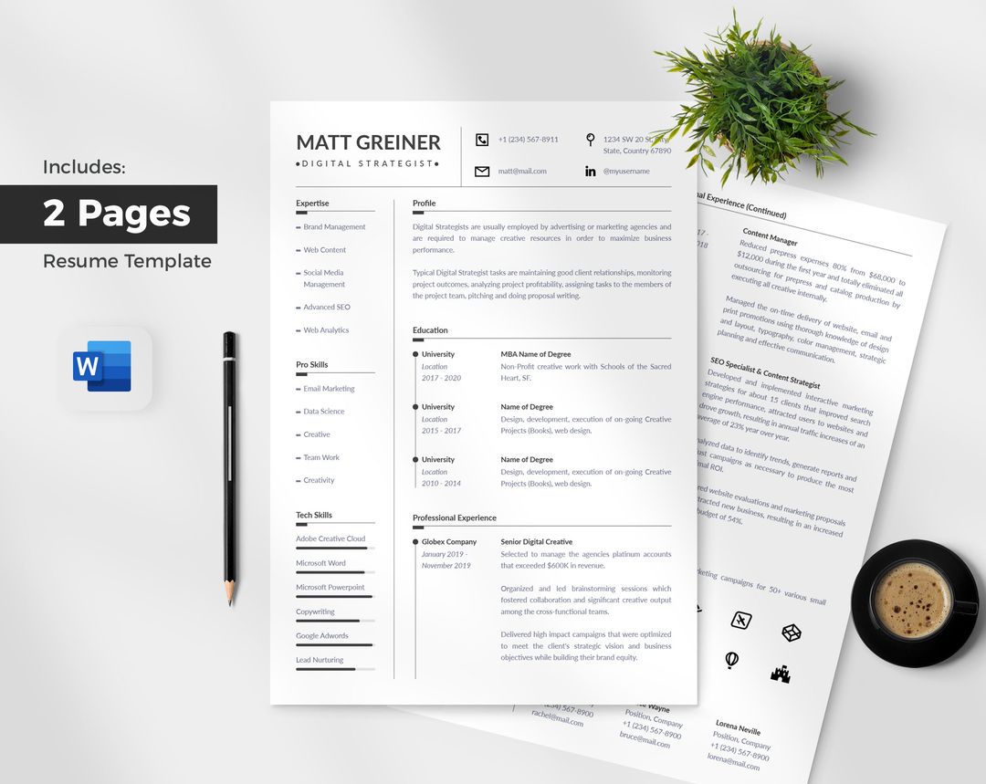 Minimal Linear Resume Template | Digital Products with Reselling Rights ...