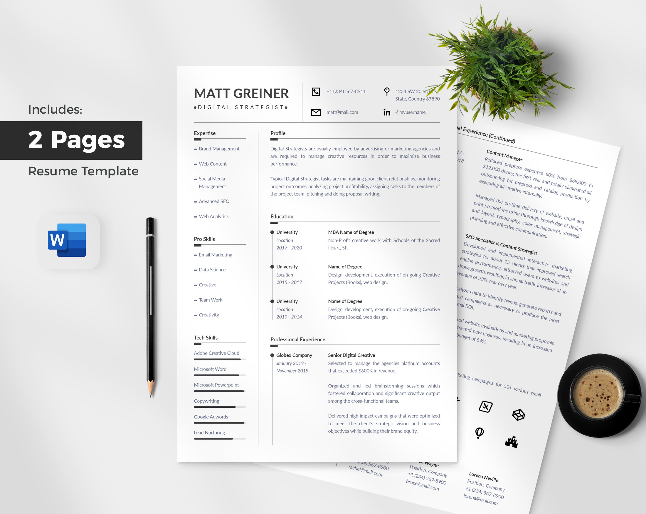 Minimal Linear Resume Template | Digital Products with Reselling Rights ...