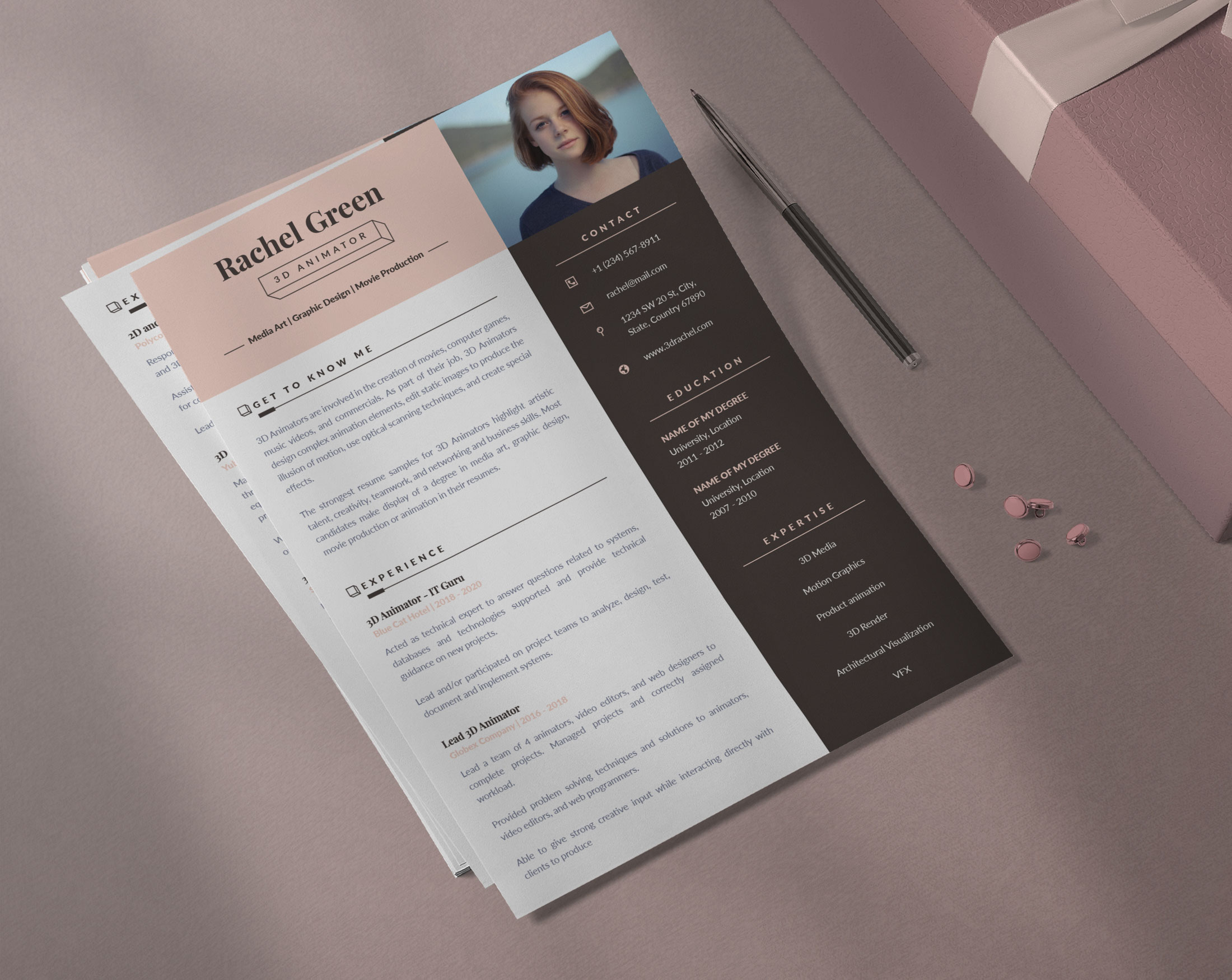 Professional Designer Resume Template | Digital Products with Reselling ...