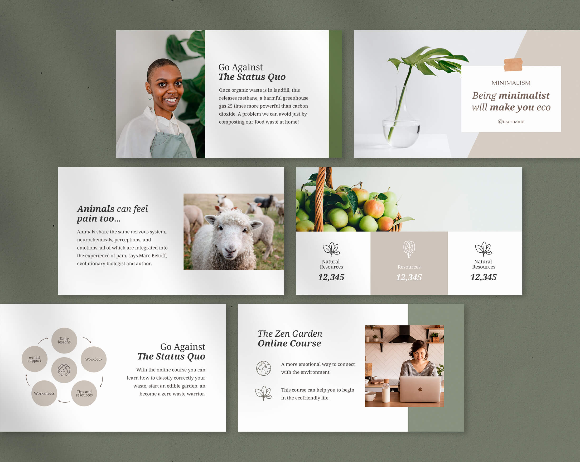 Online Coaching Templates Zen Garden Presentation Slides | Digital ...