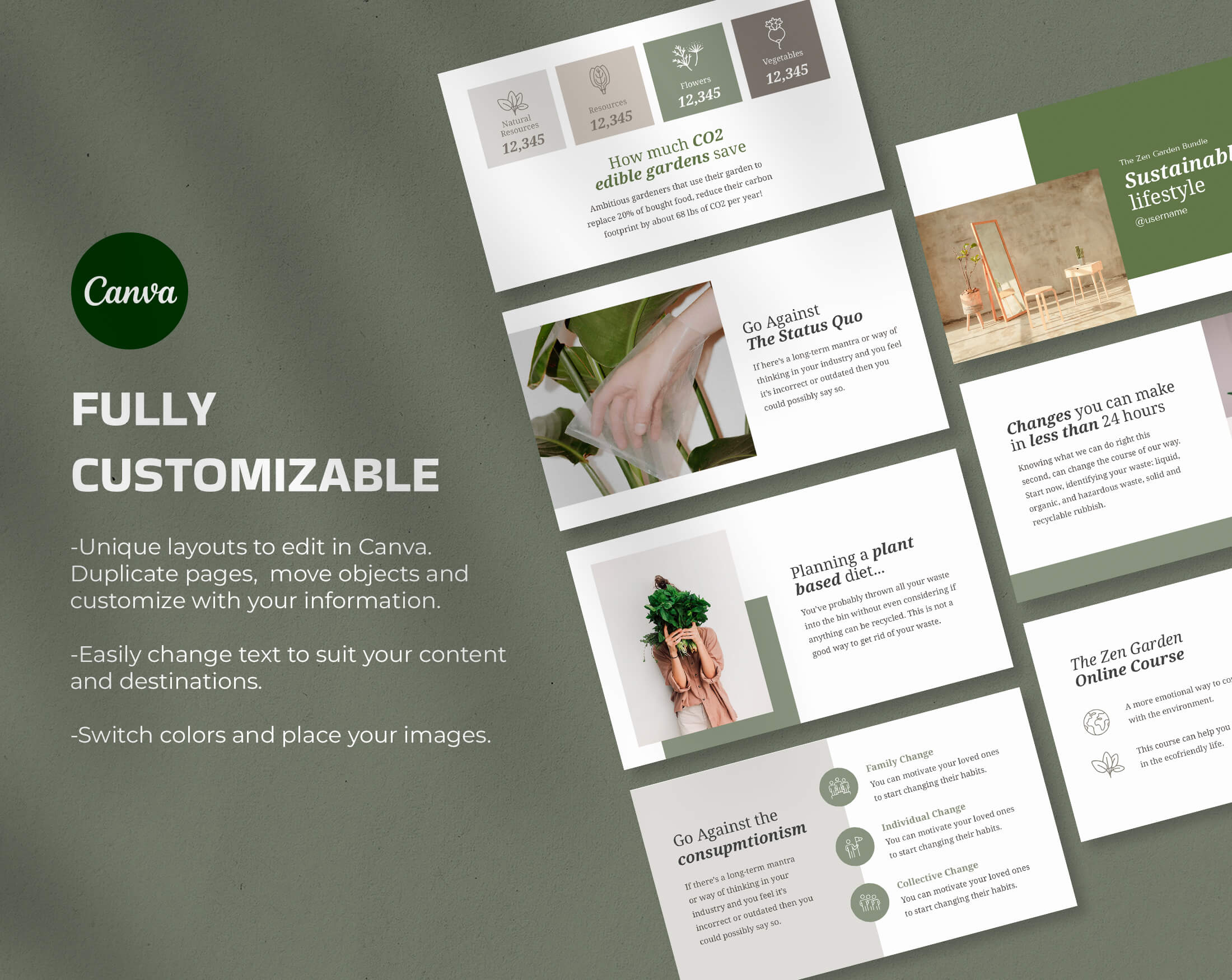 Online Coaching Templates Zen Garden Presentation Slides | Digital ...