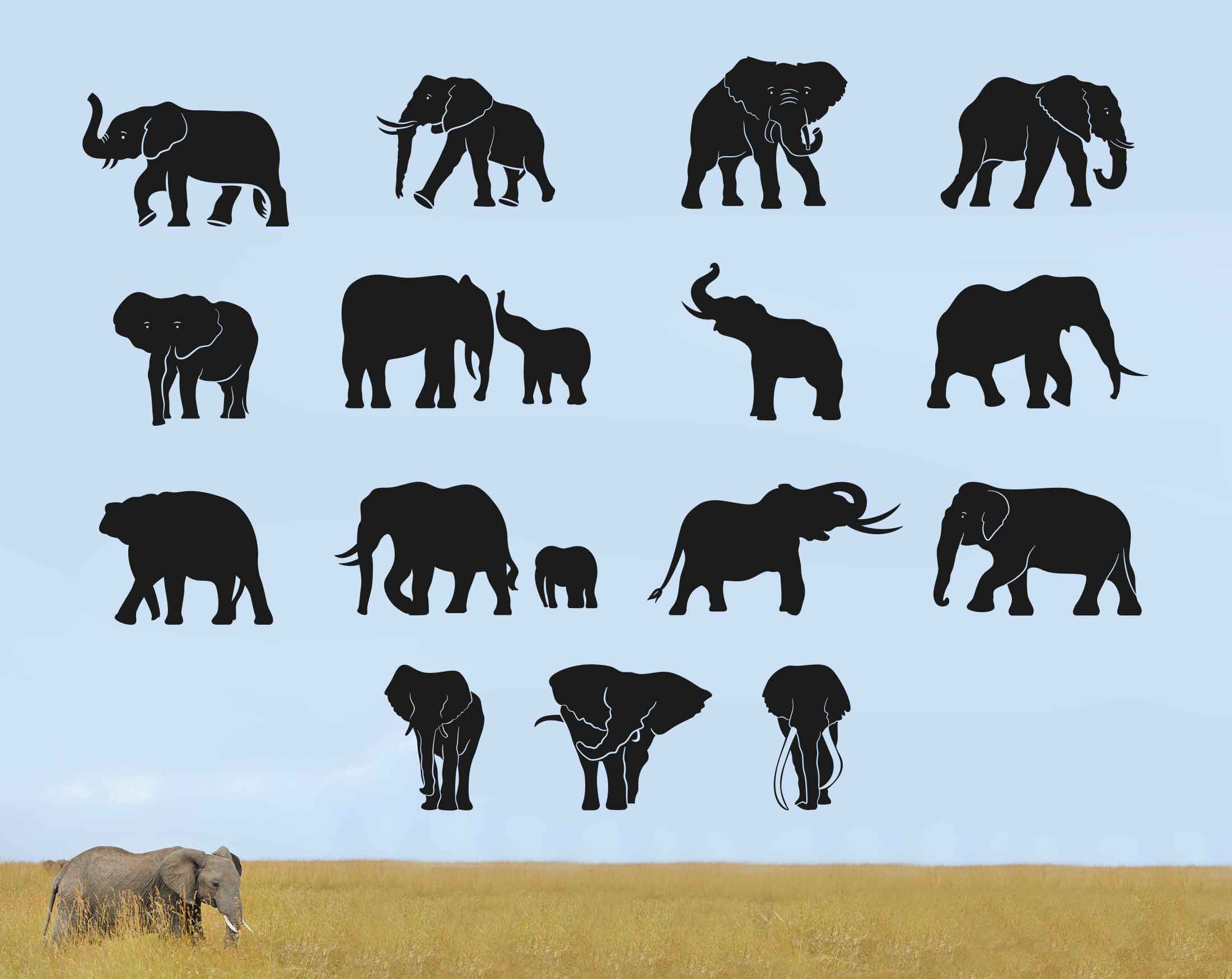 Elephant SVG Pack | Digital Products with Reselling Rights (PLR)