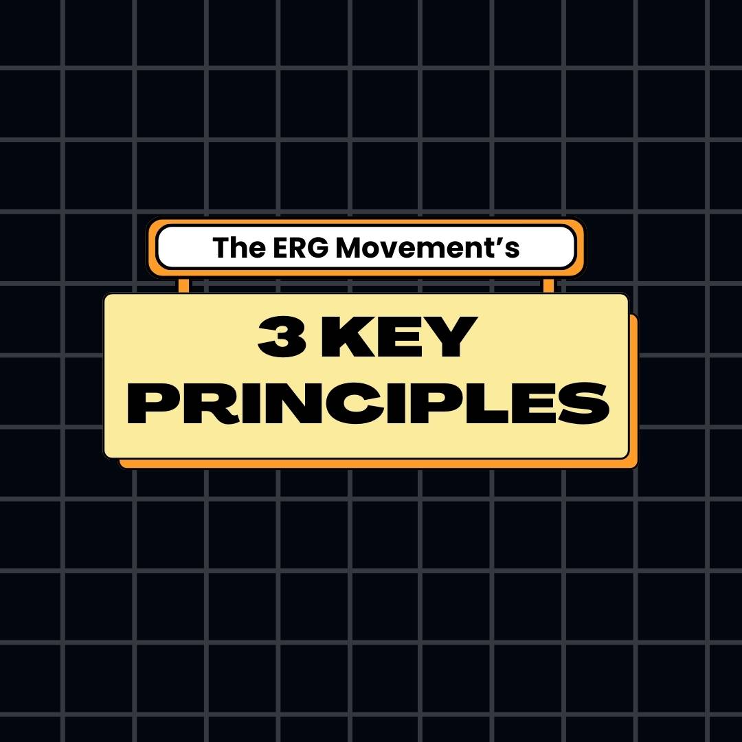 Building a Strong and Successful ERG Program: The 3 Key Principles of ...