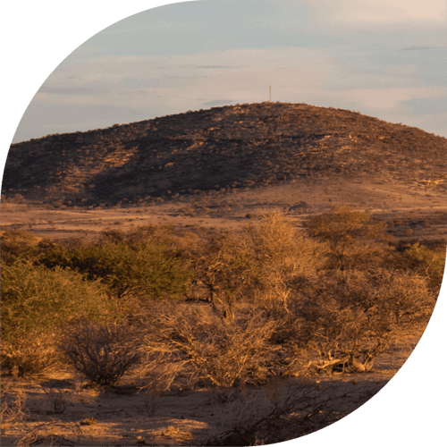 Home [www.greencharcoalnamibia.com]