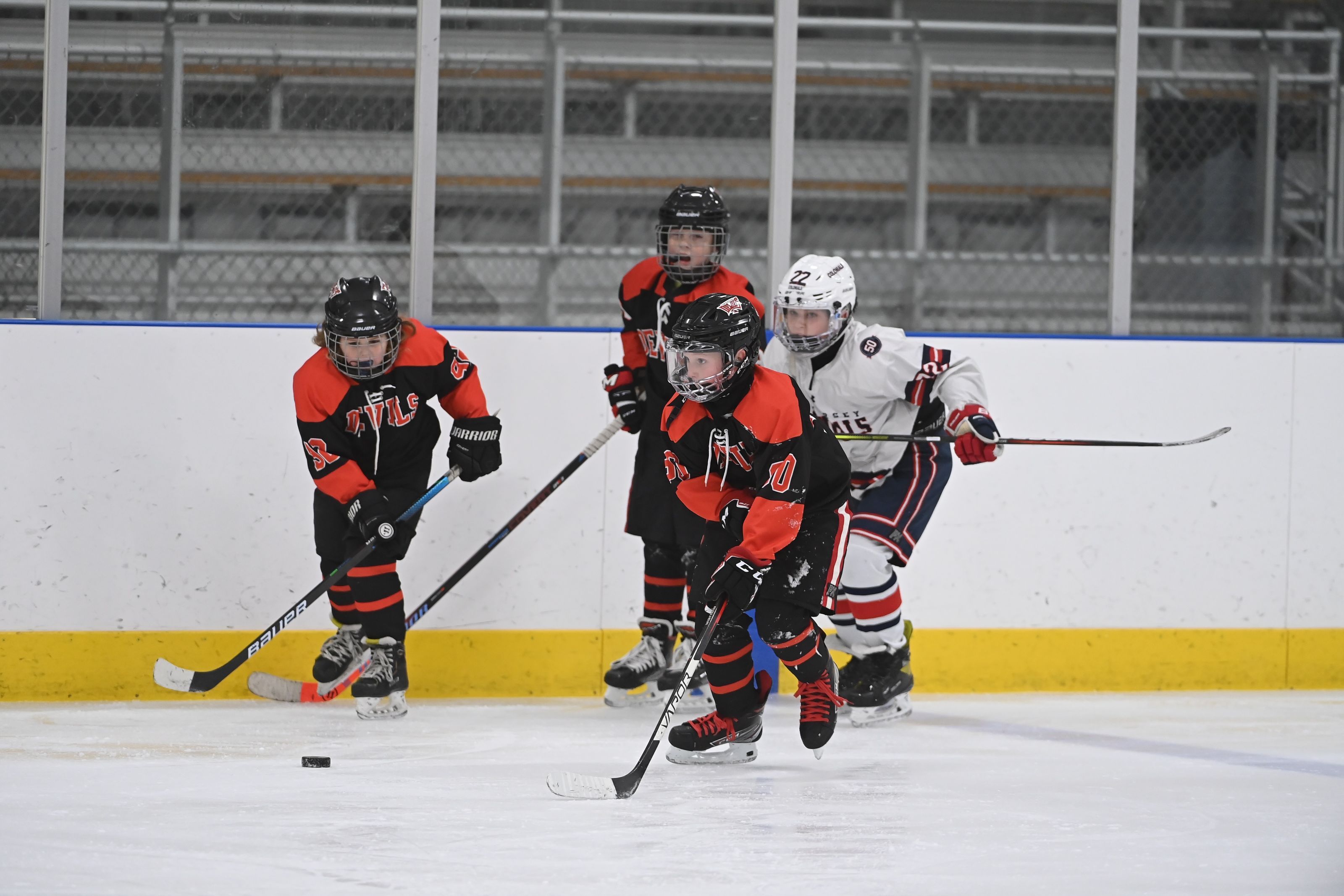 York Ice Arena - Girls Hockey