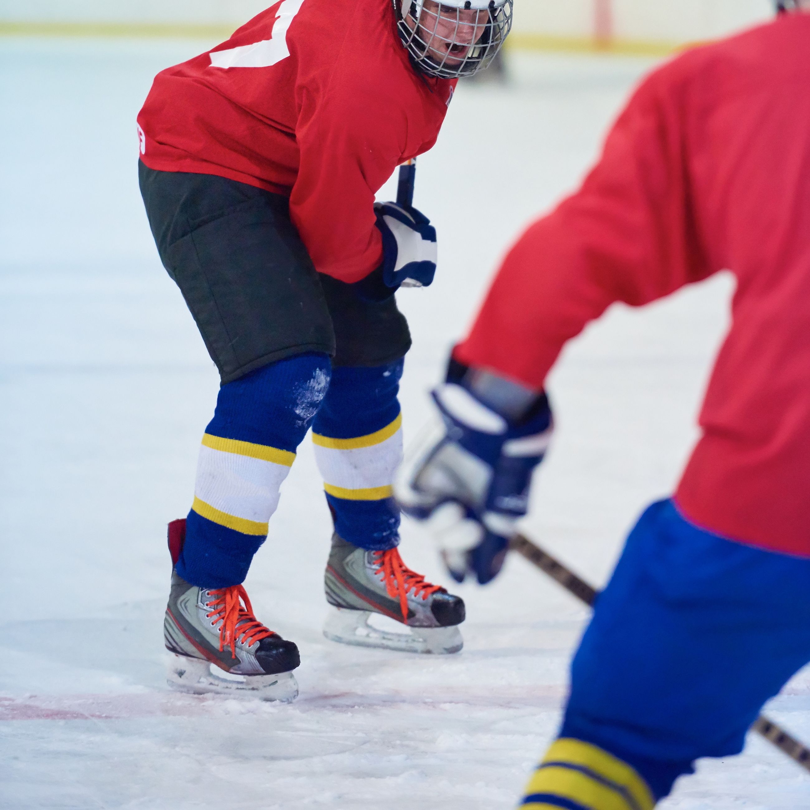 Twin Ponds Ice Arena - Hockey