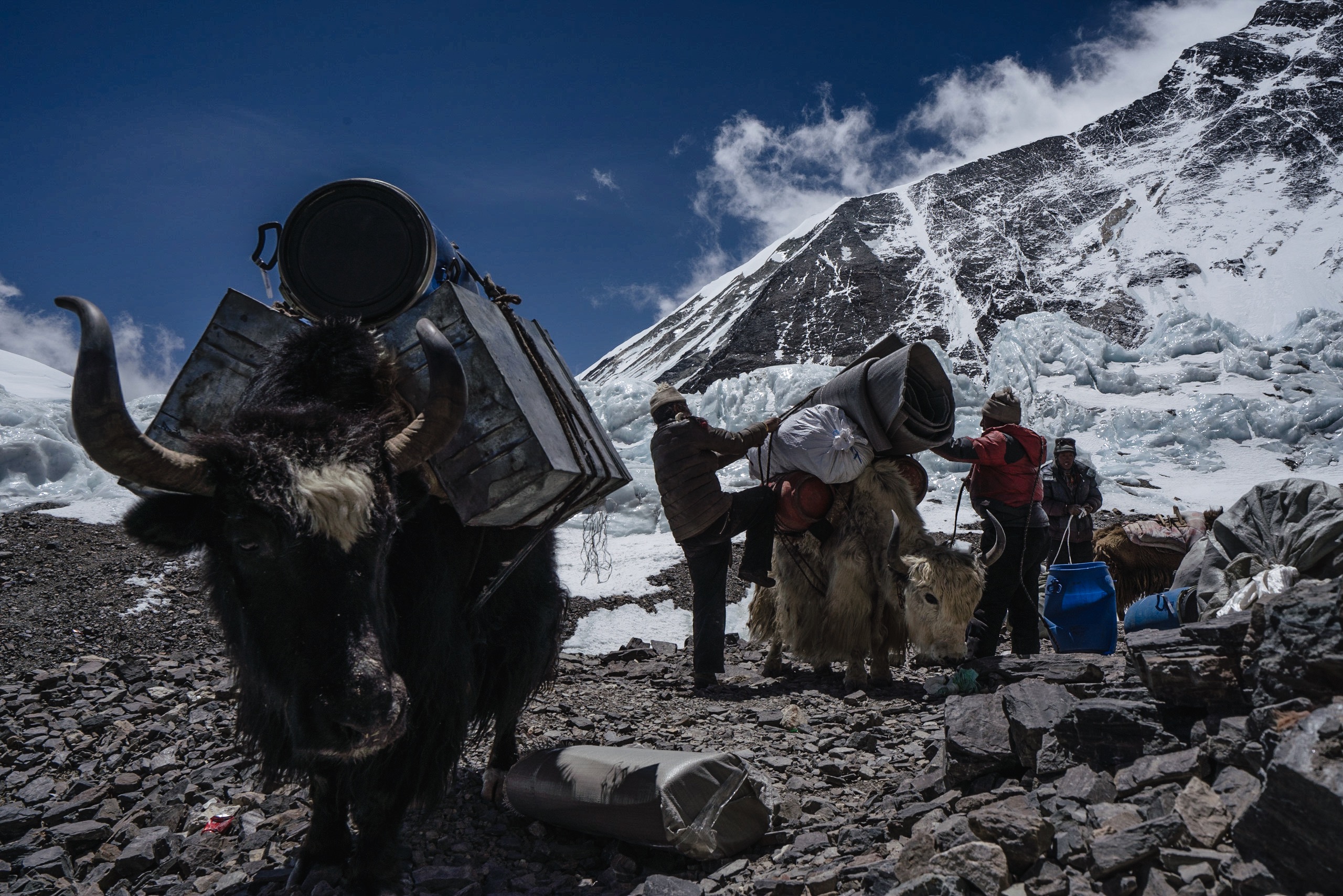 Watch the Sherpa: Trouble on Everest: A Cinematic Exploration by Expedition Studios