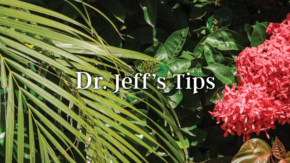 How to Prepare for Your Rythmia Visit | Rythmia | Rythmia Blog