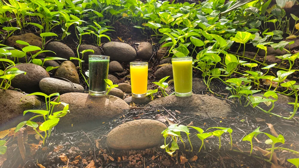 A Comprehensive Guide to Hydrotherapy | Rythmia | Rythmia Blog