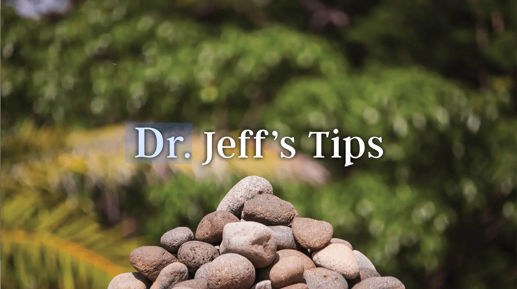 Personality Disorders, The Western Medicine Approach and The Rythmia ...