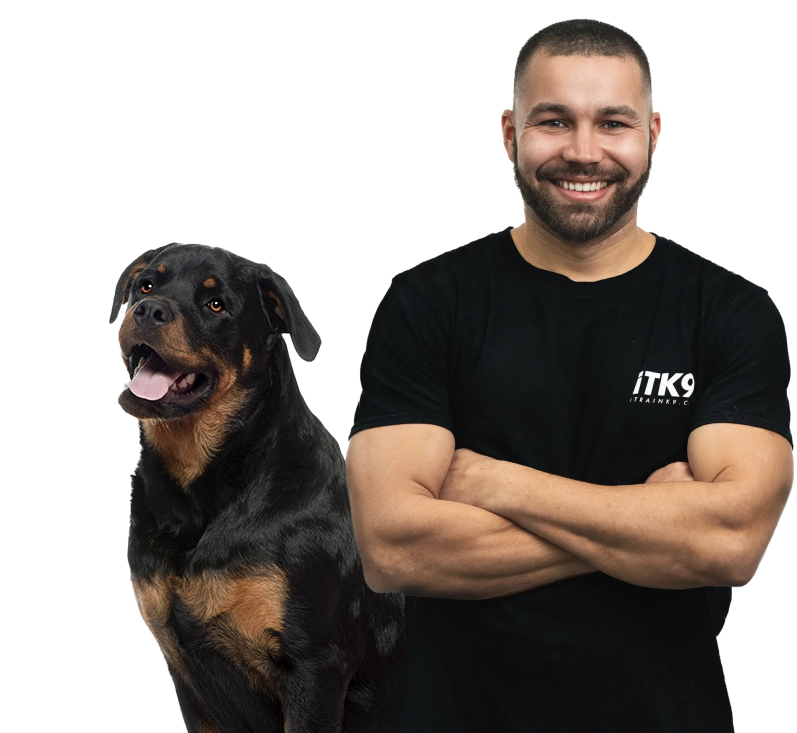 Professional Dog Training | Board & Train Programs | iTK9