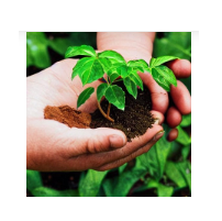 GreenThumb - Best AI apps of 2024