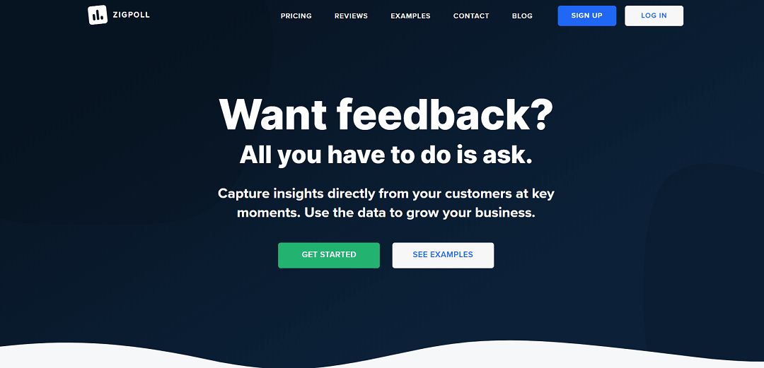 Zigpoll - Best AI apps of 2024