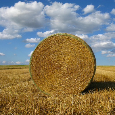 RopeWorx | Experts in manufacturing custom and generic synthetic fibre ...