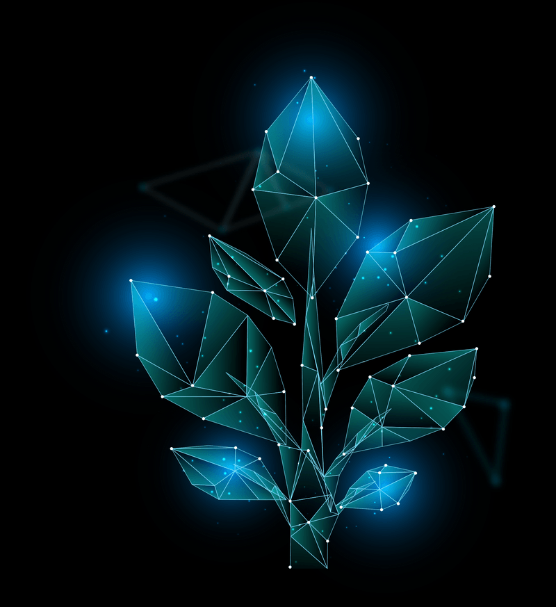 EUDR Geolocation Tool - Single.Earth