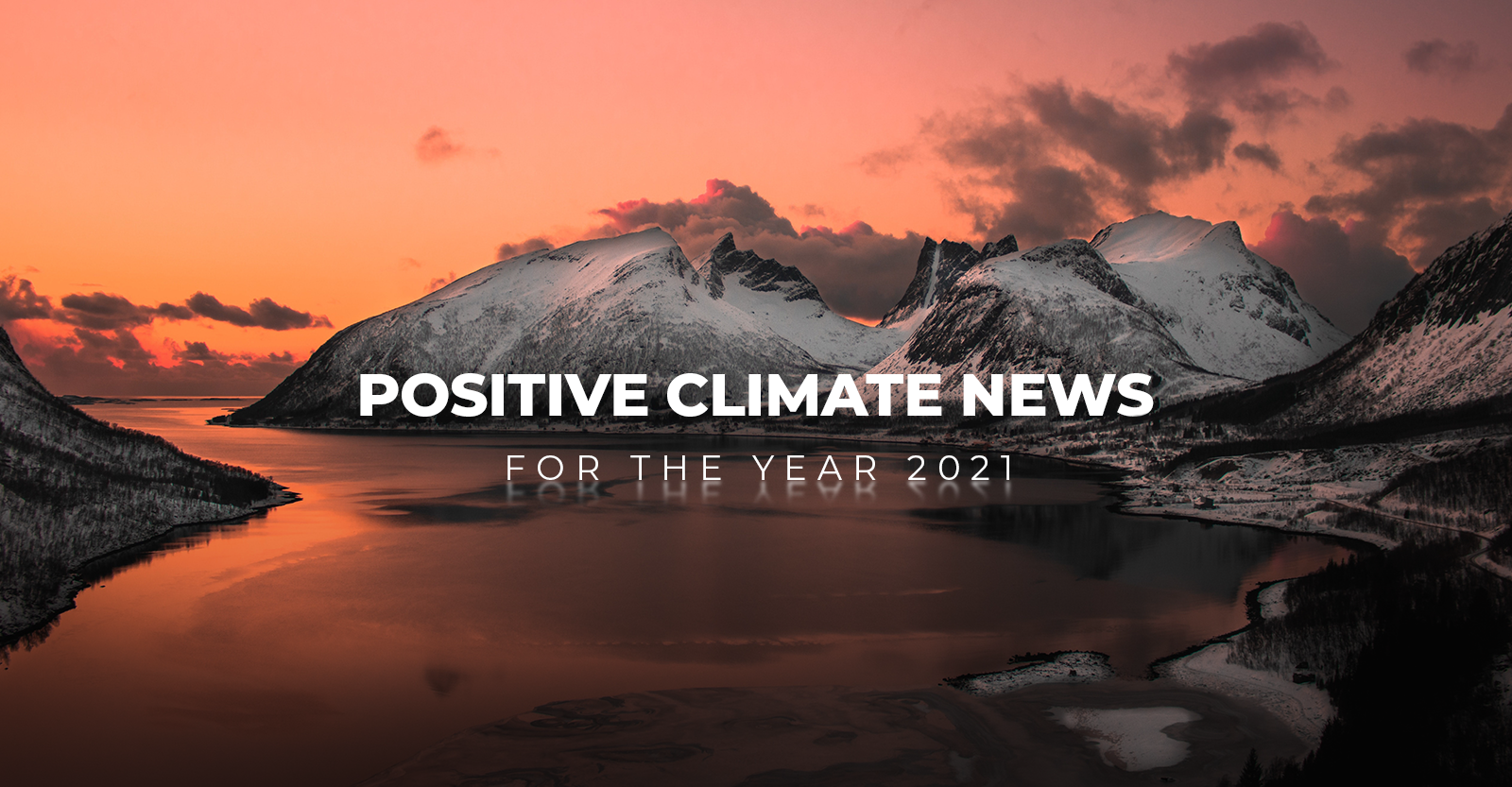 The Future of Climate Change: 12 Positive Climate Stories from 2021