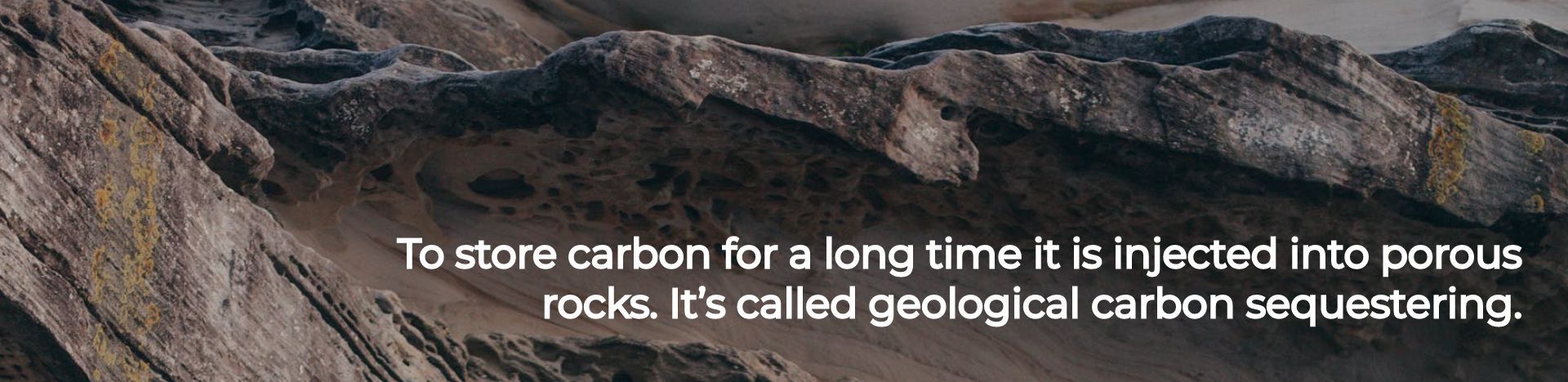 Carbon Sequestration Explained: How Carbon Dioxide is Removed from the Air