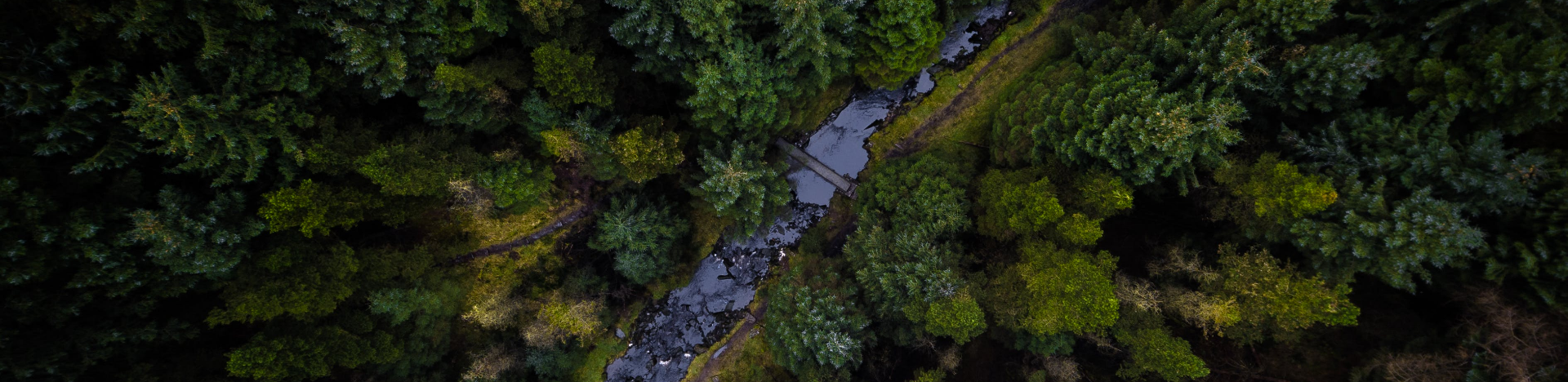 Carbon Offset Explained: A Simple Guide to Achieving Carbon Neutrality